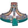 Dry Slides | Carnival Bounce Rental | Party Rental & Bounce Houses